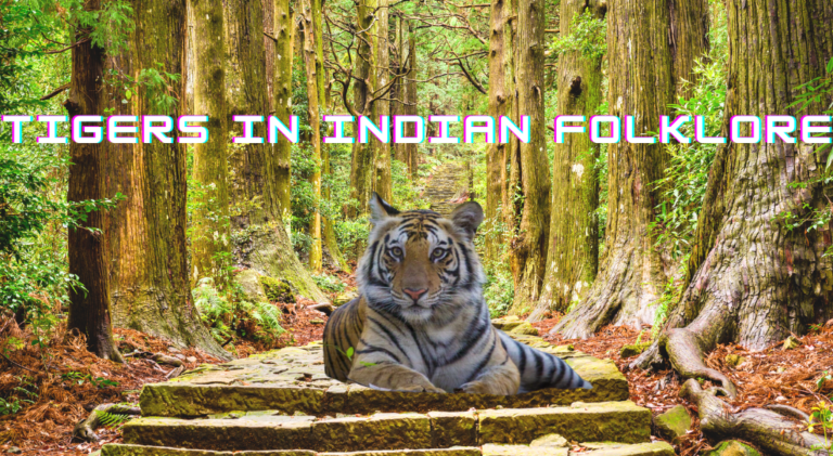 What Is Inbreeding of White Tigers? - Beauty and an Ethical Dilemma ...